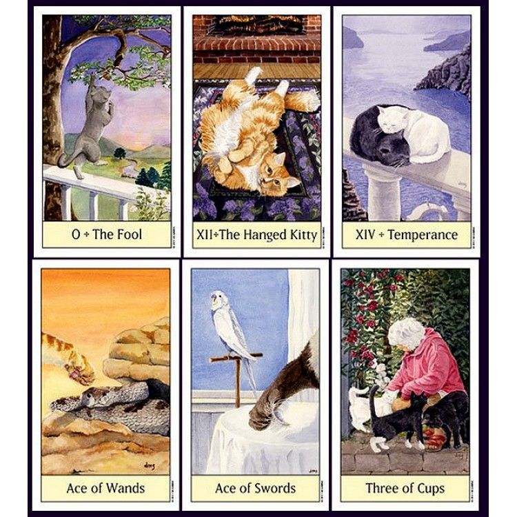 Карты Таро Cats eye tarot/Глаза кошки таро, USG